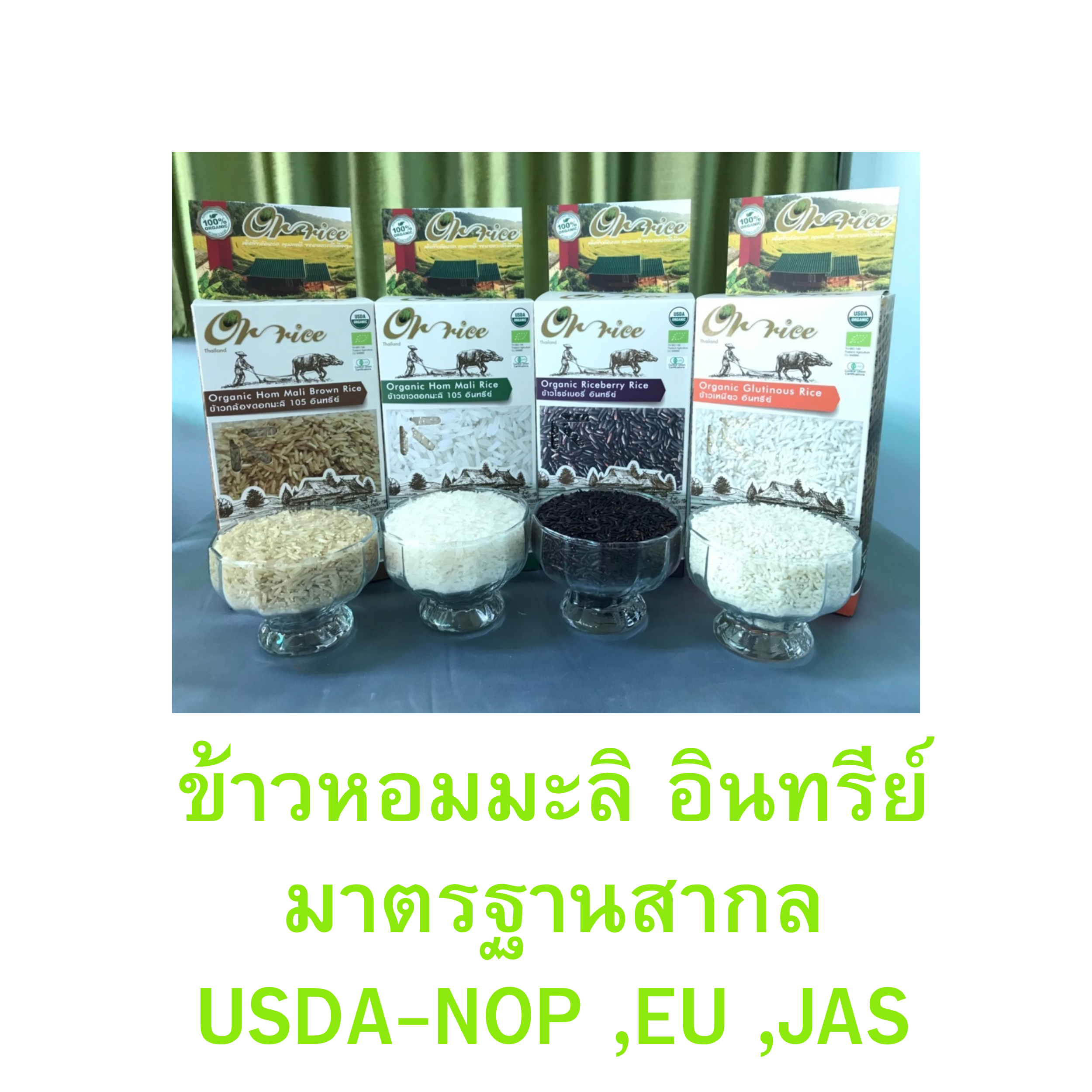 ข้าวเหนียวขาวอินทรีย์ ตรา Orrice